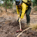 Fire Rake; 52 in. Wooden Handle - Council Tool