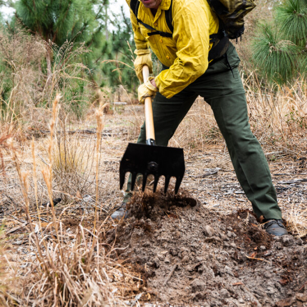 McLeod Tool; 48 in. Wooden Handle - Council Tool